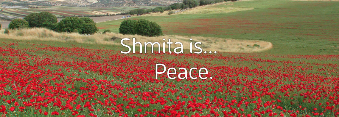 Shmita Project | The Jewish Educator Portal