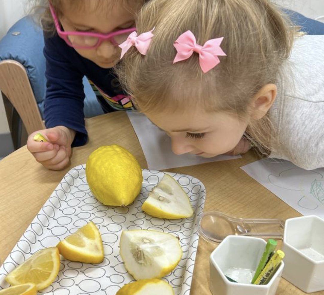 Sharing the SAR Values: 3-Day Ticket: No Hotel | The Jewish Educator Portal