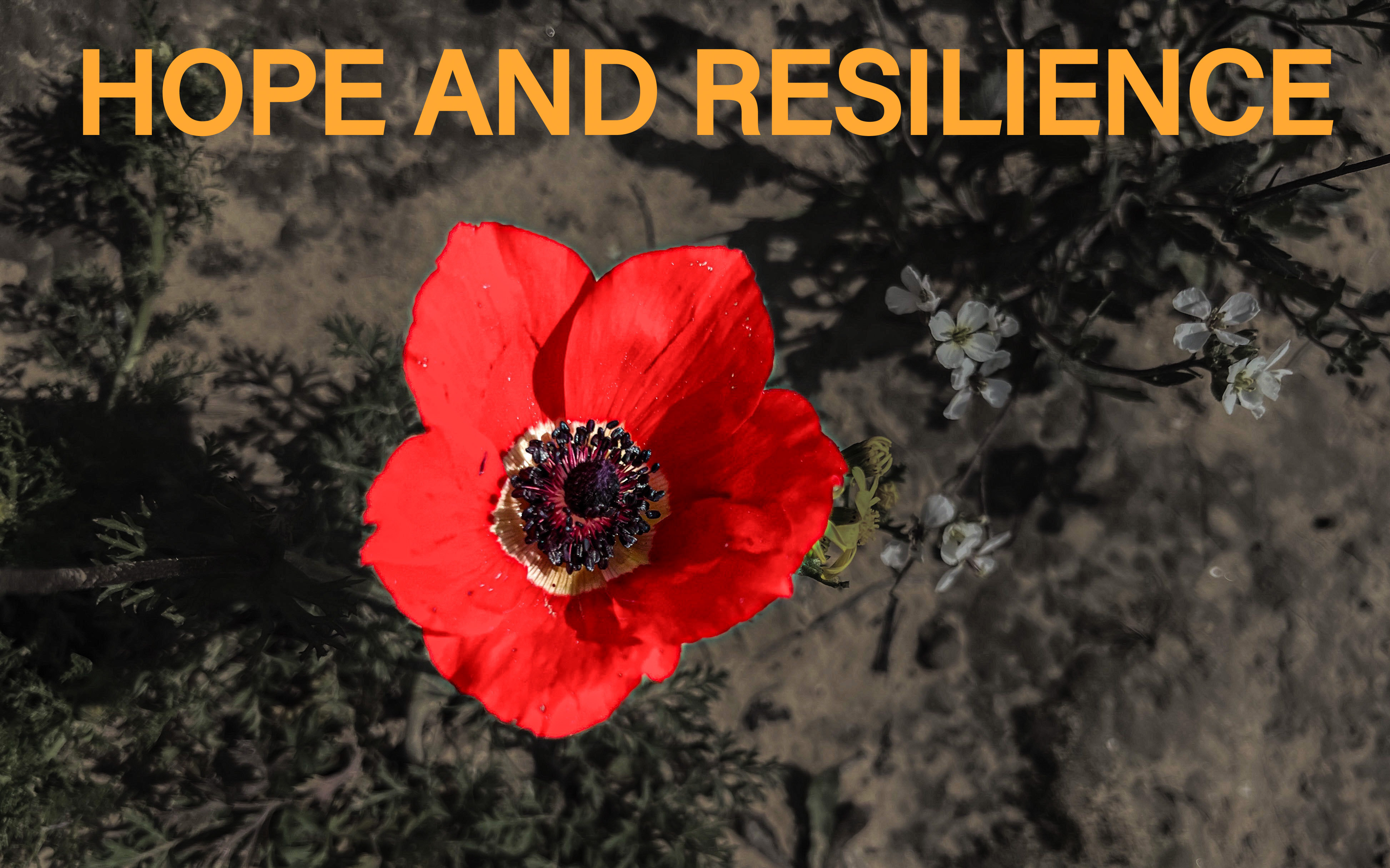 Hope and Resilience | The Jewish Educator Portal