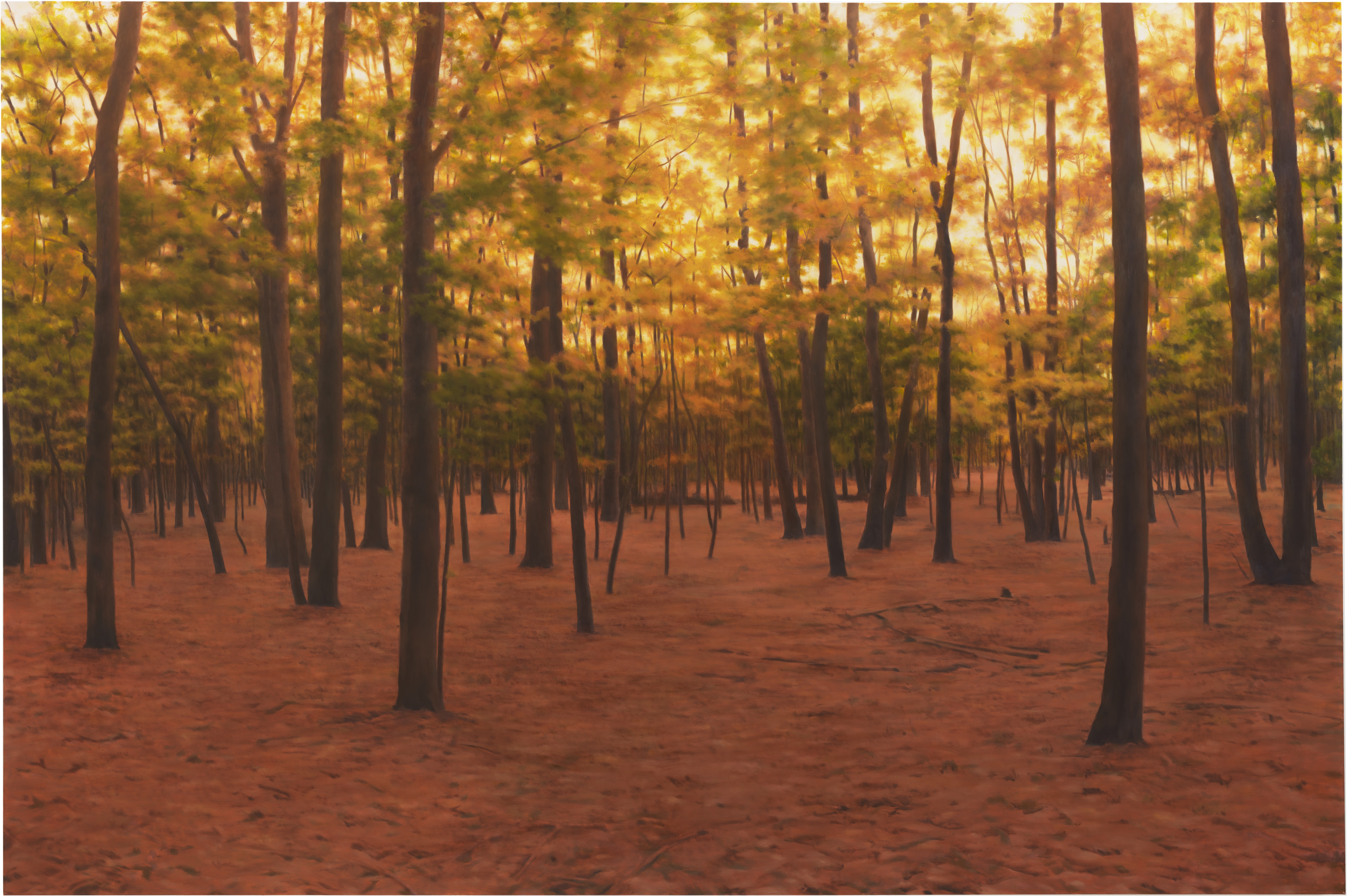 Trees and Jewish Thought | The Jewish Educator Portal