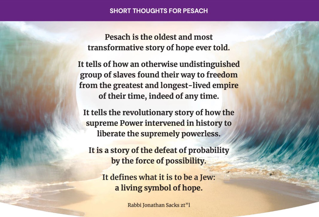 Rabbi Sacks - Pesach: Seder Night Reflection Cards | The Jewish ...