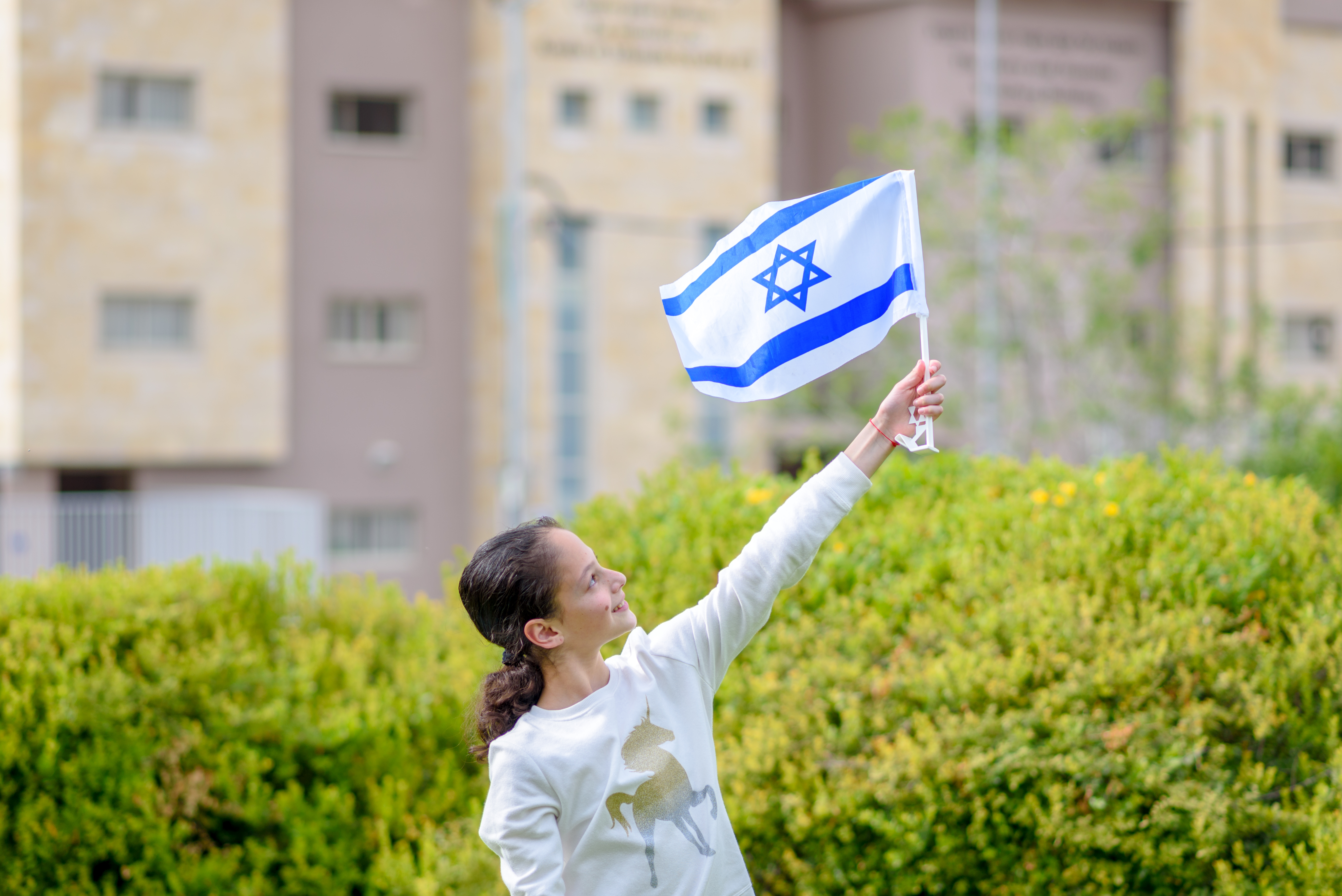 The Israel Learning Ladder: Westchester | The Jewish Educator Portal