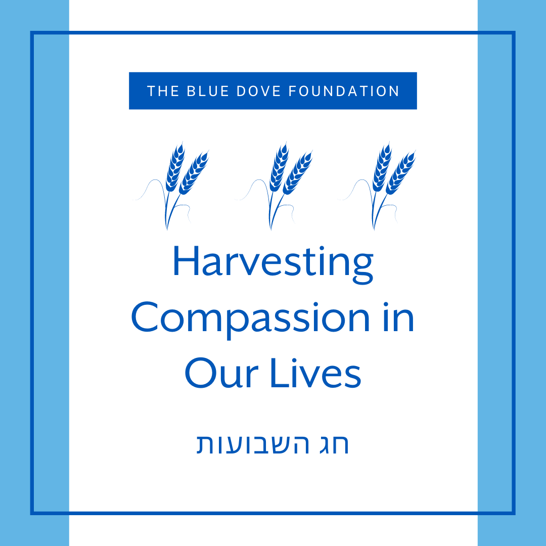 Harvesting Compassion in Our Lives | The Jewish Educator Portal