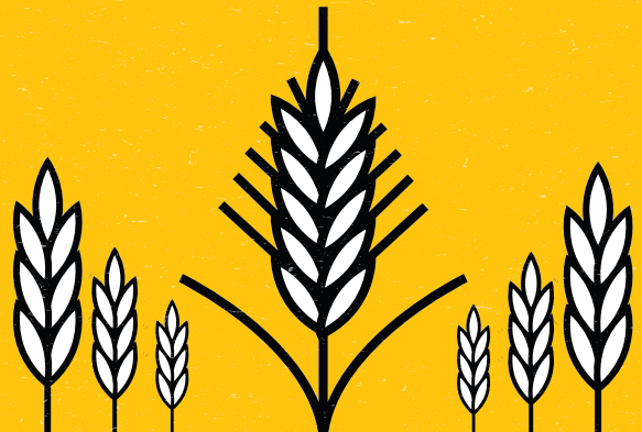 Count the Omer | The Jewish Educator Portal