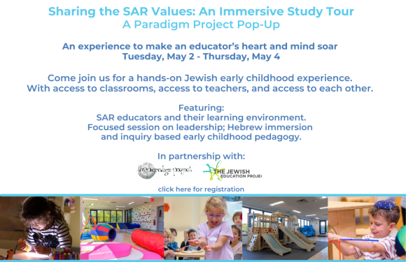 Sharing the SAR Values: An Immersive Study Tour - A Paradigm Project ...